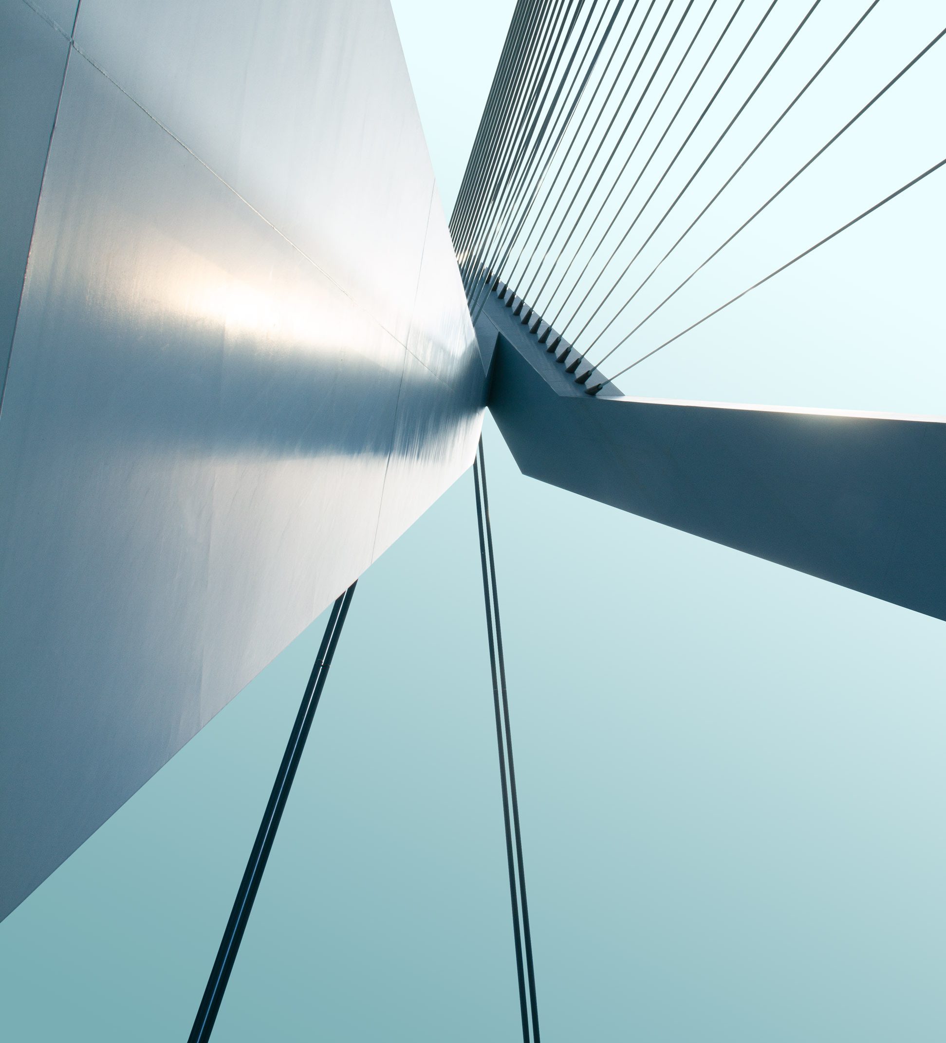 Our Team - Borderless